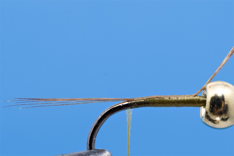 Any fisherman should not miss Perdigon Nymphs