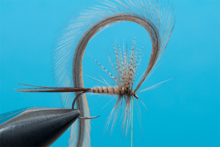 CDC Dry Fly – easy to tie