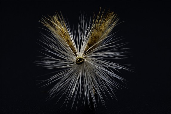 Catskill Red Quill - Fly Tying