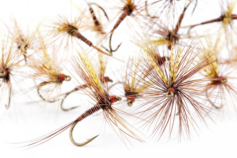 Catskill Red Quill - Fly Tying