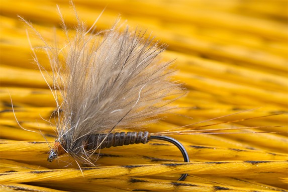 Fly Tying Riddle – dry fly body materials - Fly Tying
