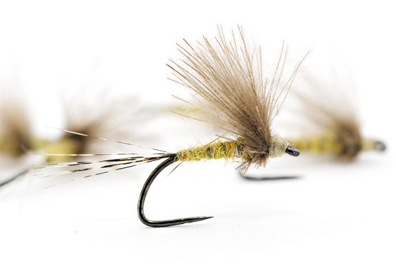 Yellow Duster CDC Dry Fly - Fly Tying