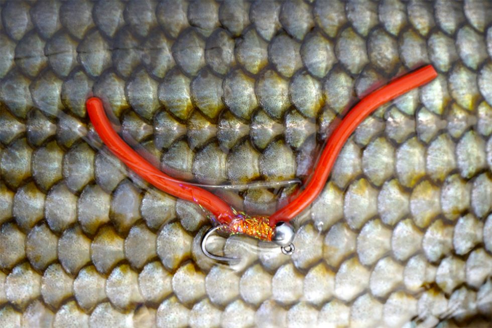 Fishing tips: all you know about Squirmy nymphs - Fly Tying