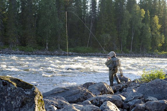 Perdigon Nymph - The Spanish Success - Fly Tying