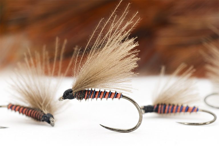 Macaw F Fly - Fly Tying