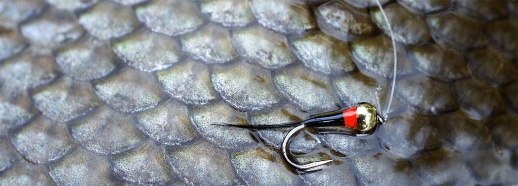 Fish better using European nymphing style with perdigon nymphs