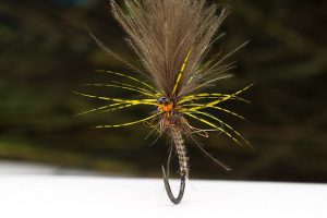 Video Tying- CDC and Quill Emerger