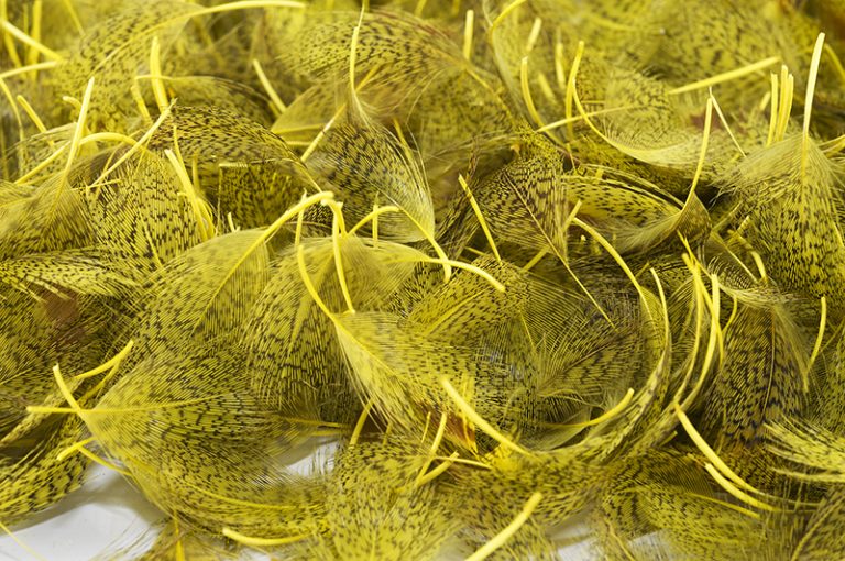 Picric Partridge - great hackle for effective spiders - Fly Tying