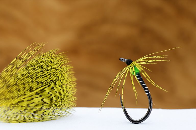 Picric Partridge - great hackle for effective spiders - Fly Tying