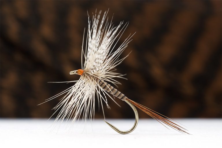 Catskill Quill Gordon - a trout fly - Fly Tying