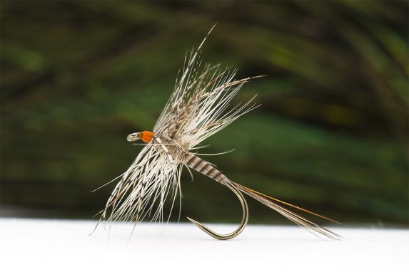 Catskill Quill Gordon - a trout fly - Fly Tying