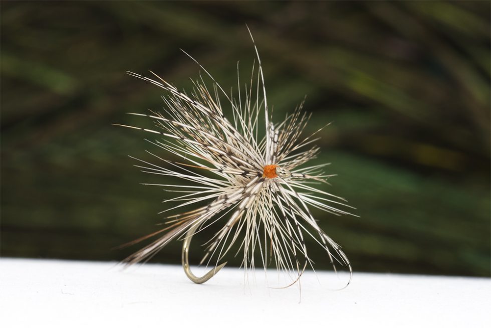 Catskill Quill Gordon - a trout fly - Fly Tying