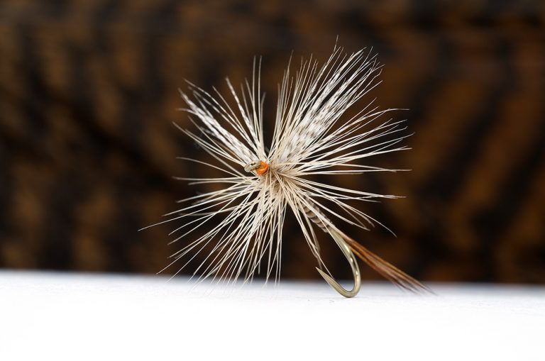 Catskill Quill Gordon - a trout fly - Fly Tying