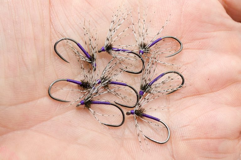 North Country Purple Spider - a classic wet fly - Fly Tying