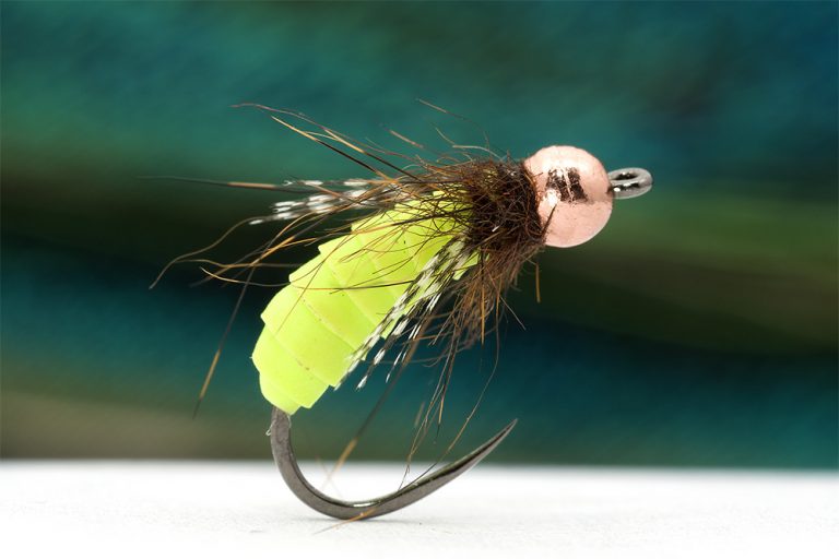 Green-latex-caddis-sedge-pupa-nymph - Fly Tying