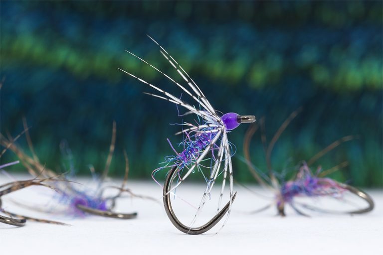 Synthetic Purple Spider - Fly Tying