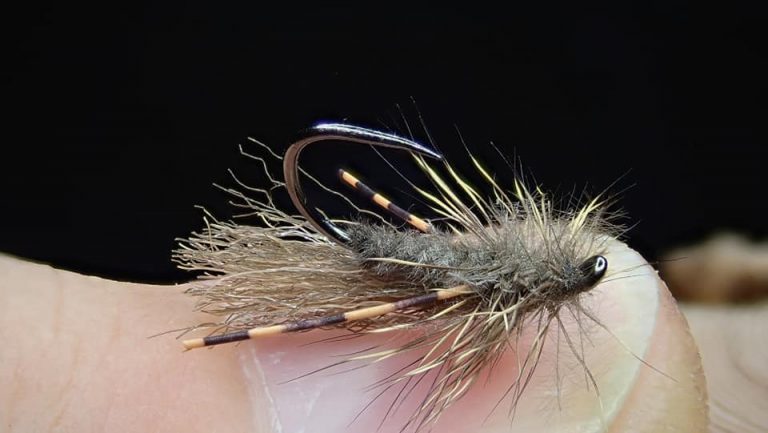 super small sedge by Thomas Roos