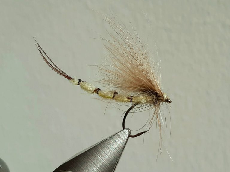 CDC May Fly Competition - Results - Fly Tying