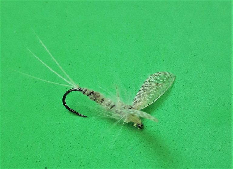 CDC May Fly Competition - Results - Fly Tying