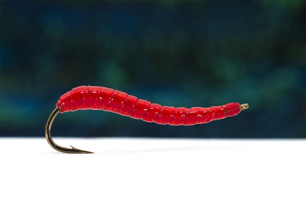 San Juan worms, squirmies, and all kind of worm nymphs - Fly Tying