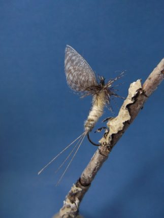 CDC May Fly Competition - Results - Fly Tying