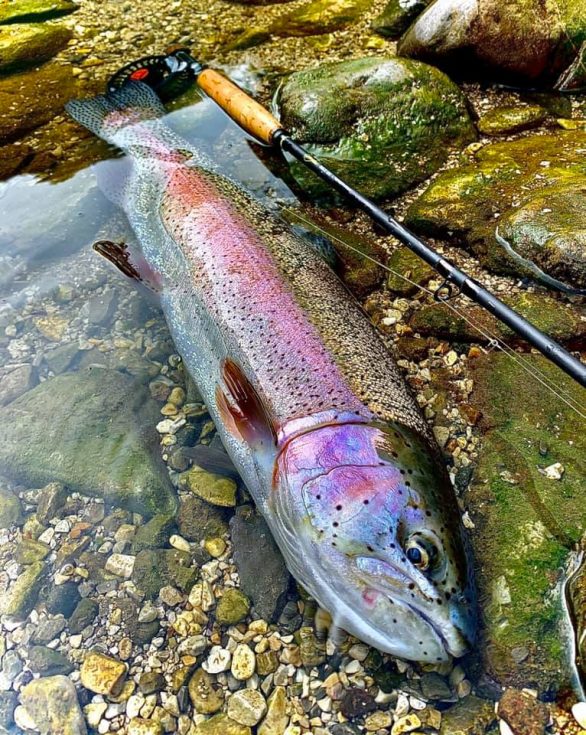 Jan Rozman and his Slovenian scuds - Fly Tying