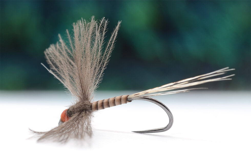 Tying a CDC Spent Fly - Fly Tying
