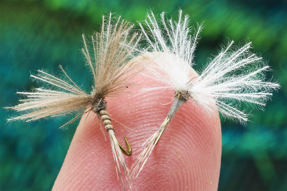 Tying Technique - Micro CDC Spent flies - Fly Tying