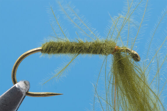 Step by Step - Tying a 3 feathers Sedge - Fly Tying