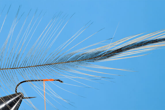 Tying tails for dry flies – old recovered article