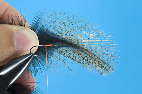 Tying tails for dry flies - old recovered article - Fly Tying