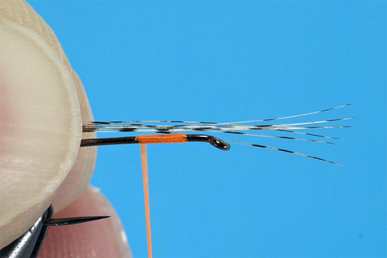 Tying tails for dry flies - old recovered article - Fly Tying