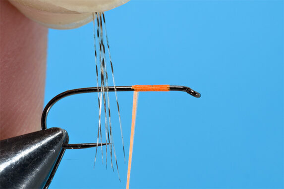 Beginner flytiers corner – Fly Tying