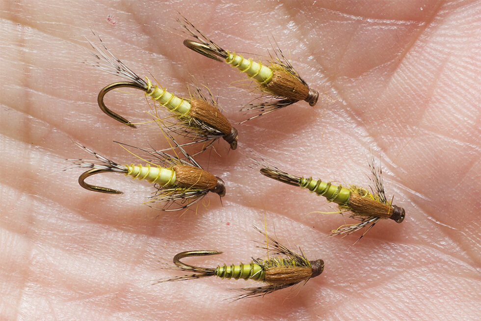 Biot Nymphs for your inspiration :) - Fly Tying