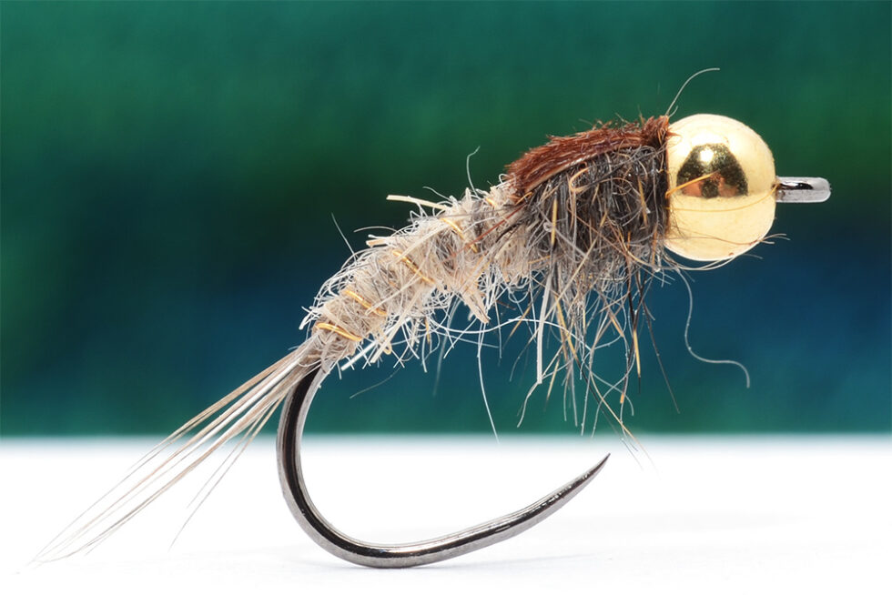 Universal nymph for trout fishing - the Holy Grail ? - Fly Tying