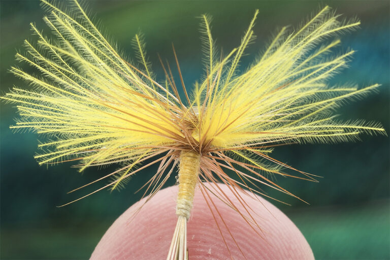 Spring is here: Time to Hatch Some Classics! - Fly Tying