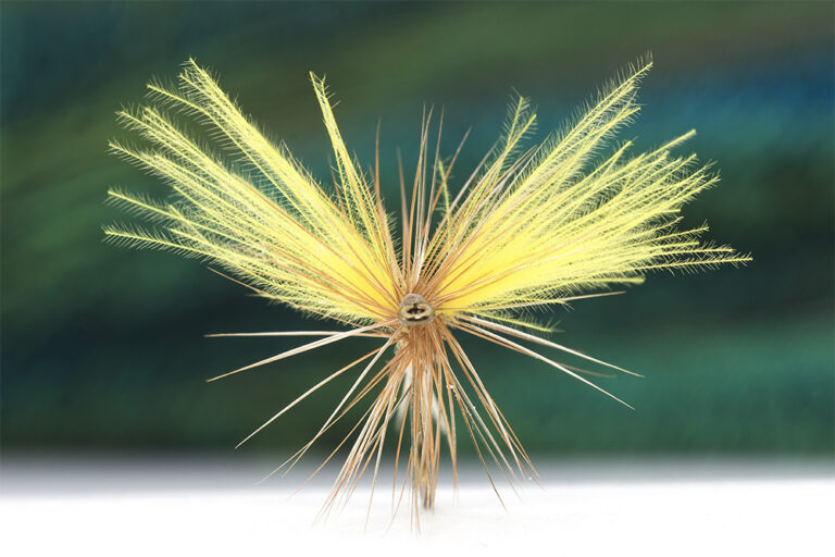 Spring is here: Time to Hatch Some Classics! - Fly Tying