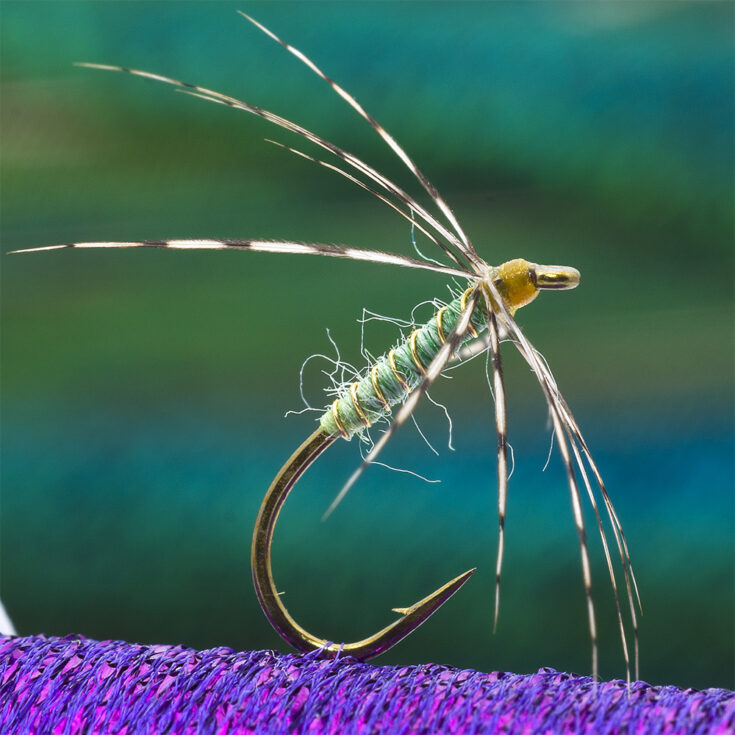 Spiders - simple and deadly - Fly Tying