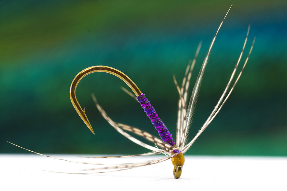 Spiders - simple and deadly - Fly Tying