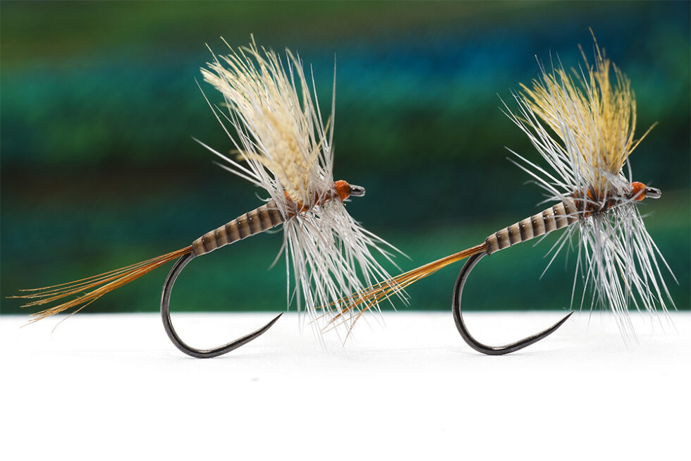 Quill Gordon Dry Fly - Fly Tying
