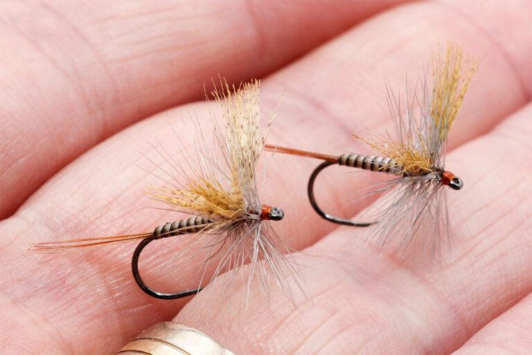 Quill Gordon Dry Fly - Fly Tying