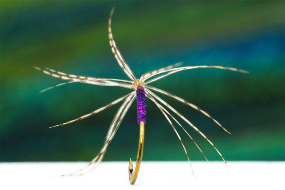 Spiders - simple and deadly - Fly Tying