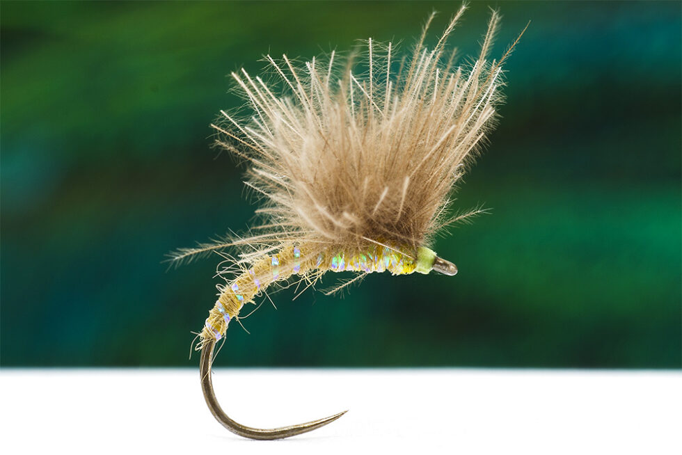 Paraloop CDC Flies - Fly Tying