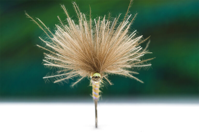 Paraloop CDC Flies - Fly Tying