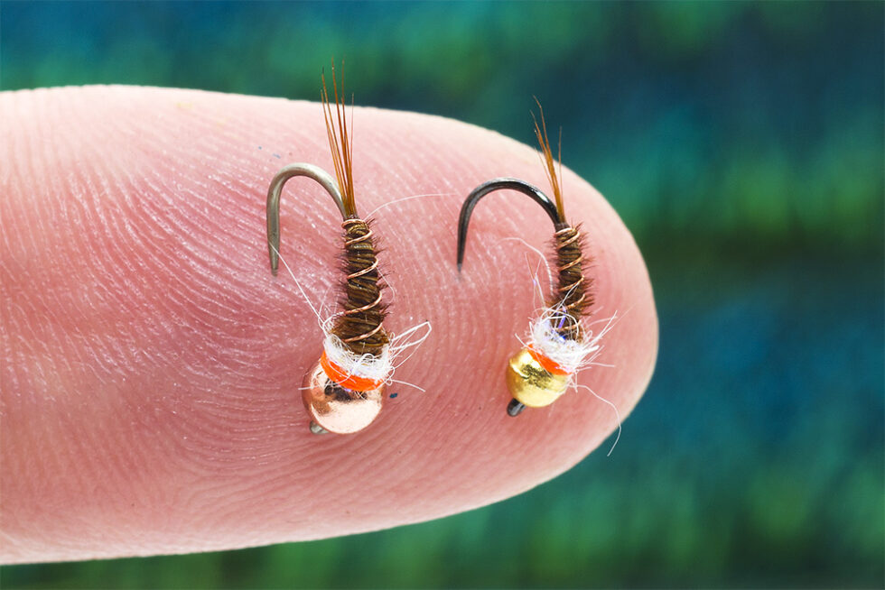 The Secret NYMPH That Made Edgardo Dona a World Champion! - Fly Tying