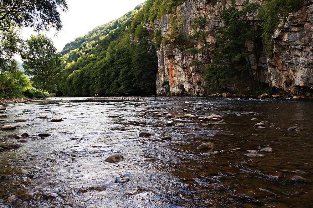 Caddis Nymph - simple and effective - Fly Tying