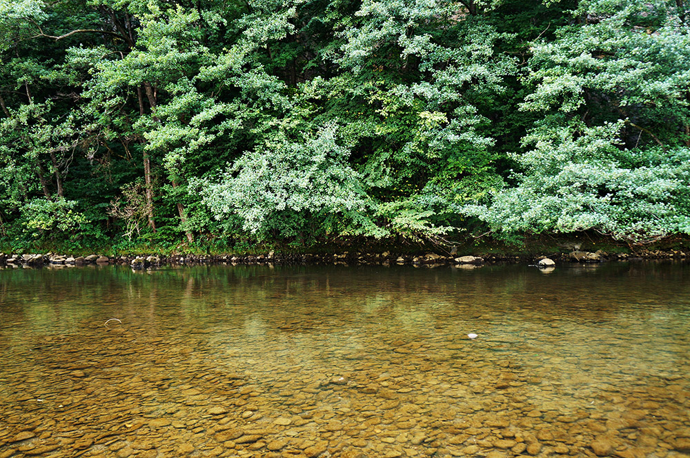 Caddis Nymph – simple and effective
