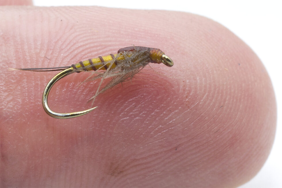 Small Baetis - Fly Tying