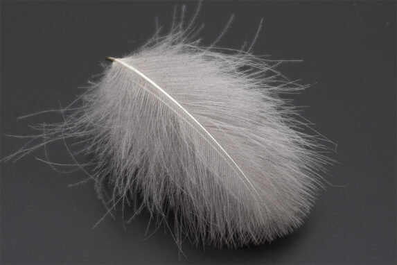 Grey-Dun-premium-CDC - Fly Tying